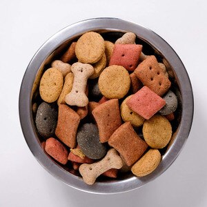 Pointer Dog Treat Biscuit Selection 10kg |Petshop.co.uk